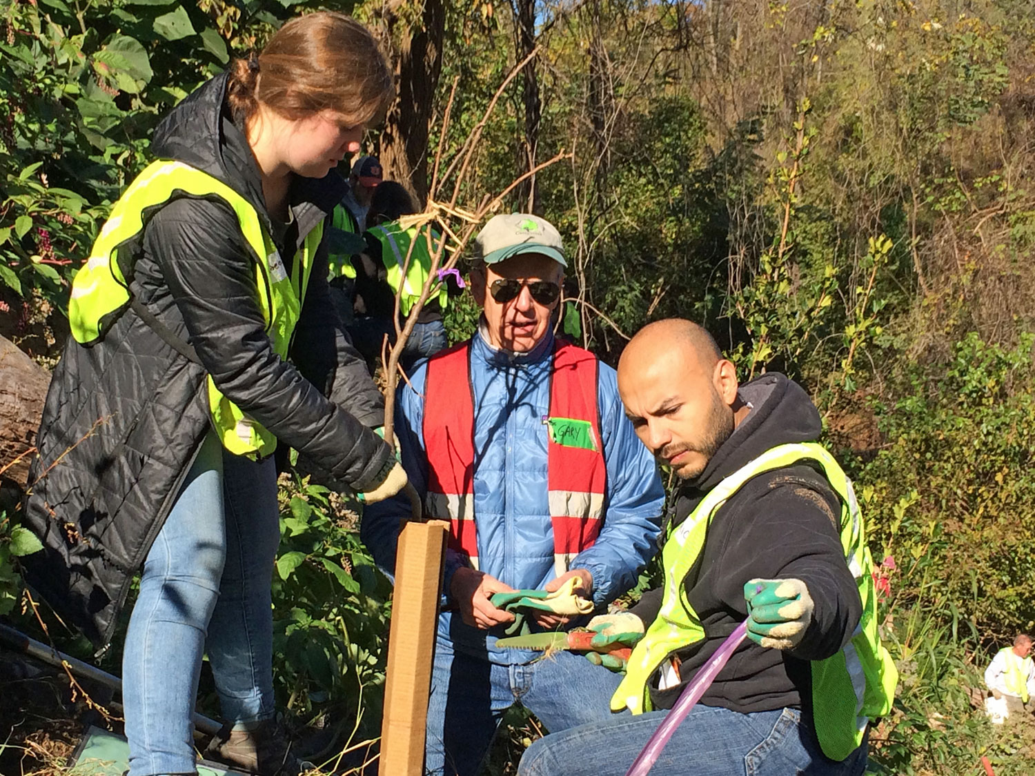 Casey Trees and Volunteers Partner with DOPC to Plant 150 Trees